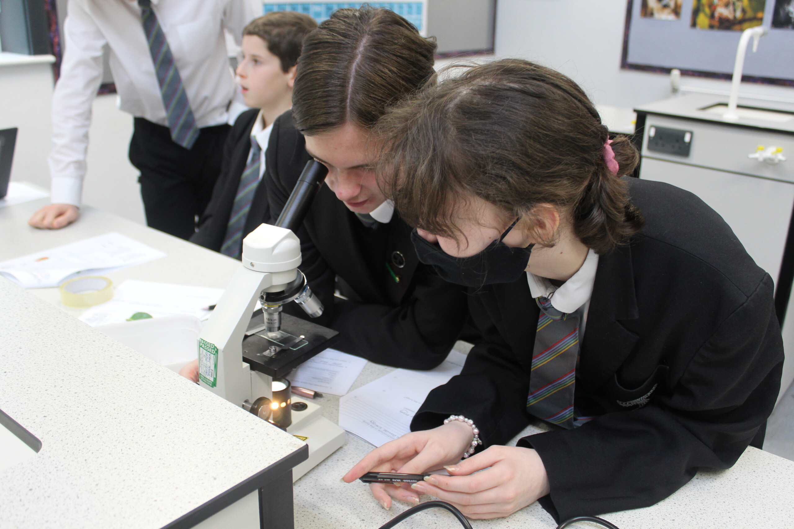 Home - Springwell Community College - Staveley